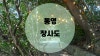 통영 장사도해상공원 까멜리아 동백꽃 개화소식 배편정보 네이버 블로그